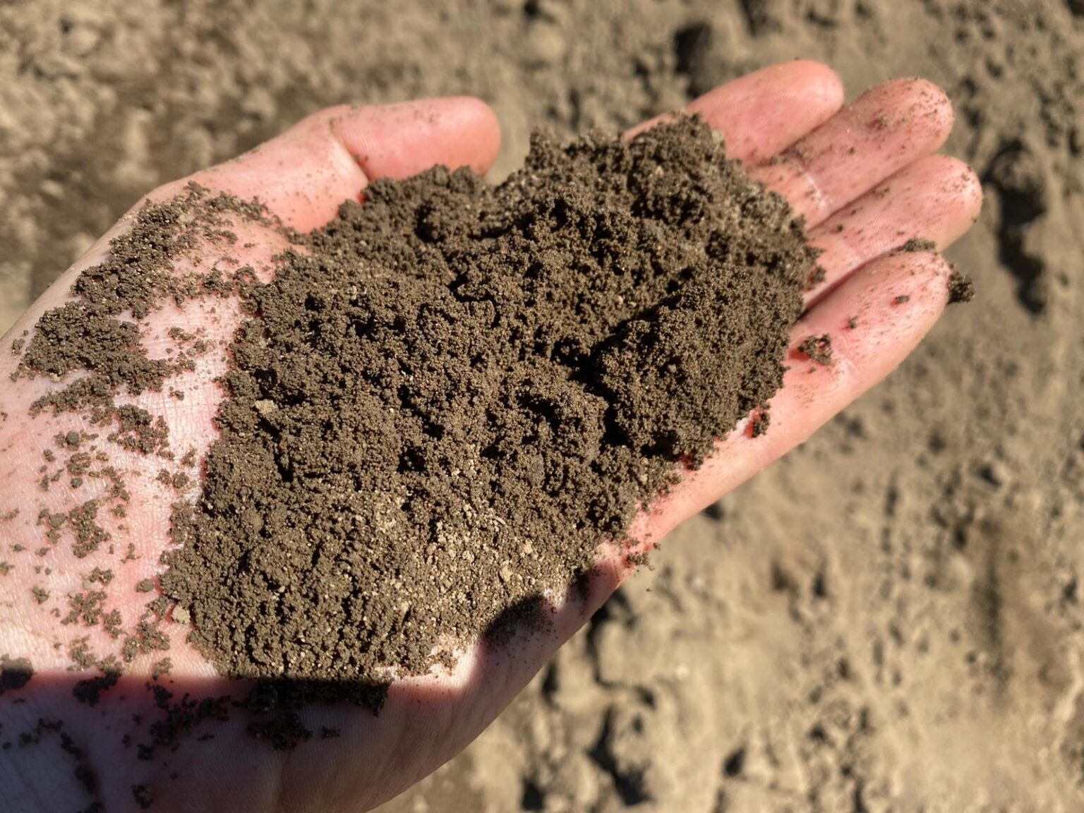 Topsoil Vs Compost: Which should you be using? - Grab Hire and Road ...